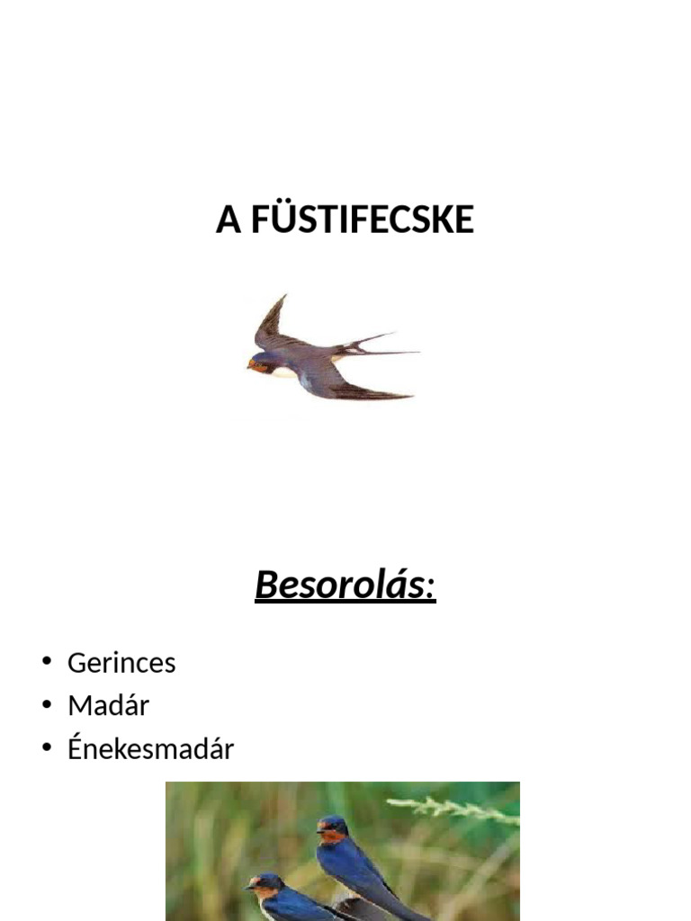 A FÜSTIFECSKE - klik037767001#303223#Gondviselo#240617#Csatolmany | PDF