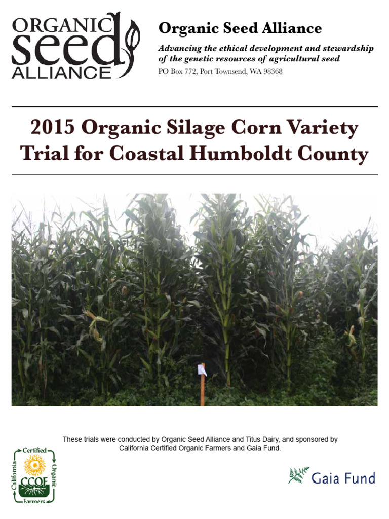 2015 Organic Silage Corn Variety Trial For Coastal Humboldt County ...