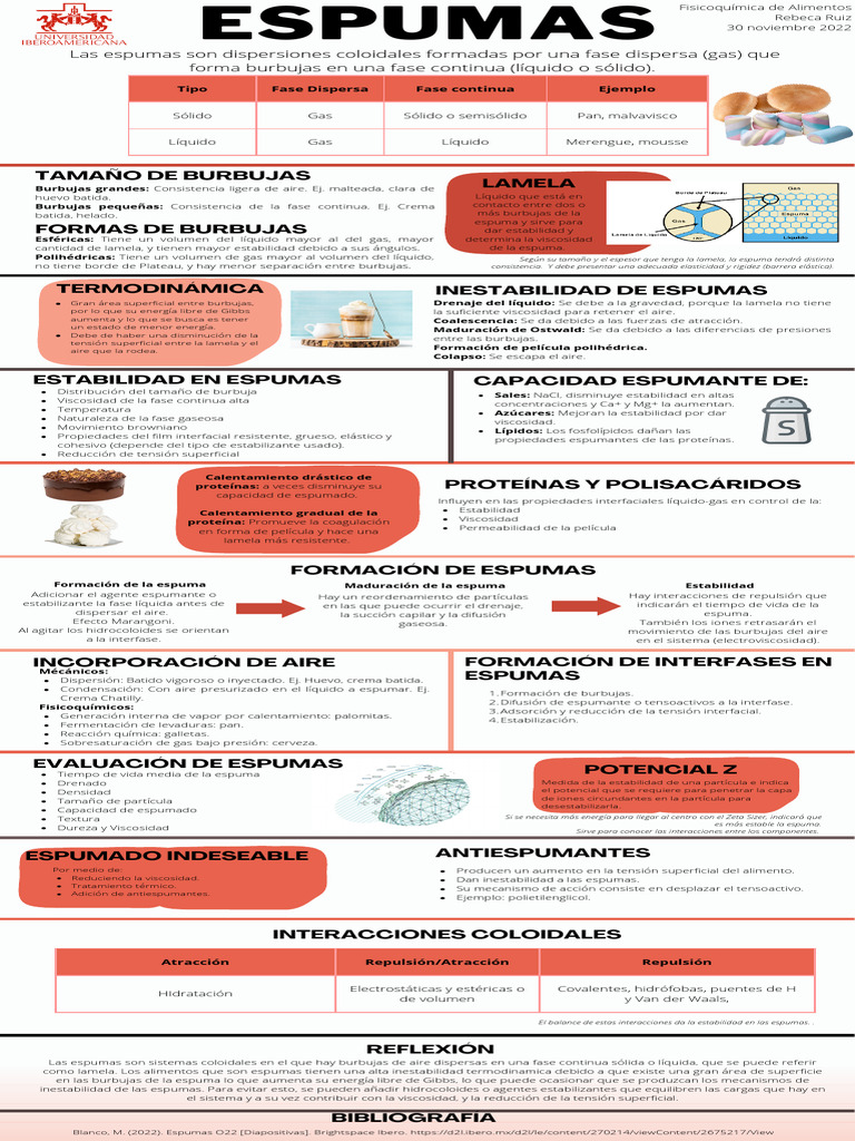Infografía Espumas Rebeca | PDF | Espuma | Coloide