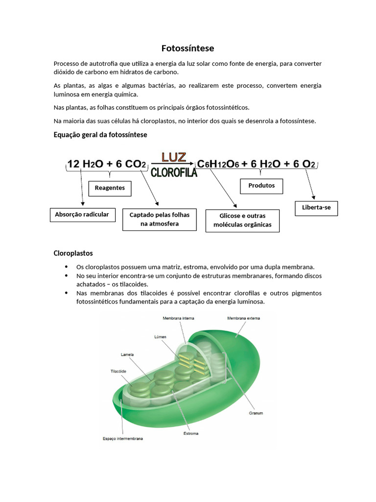 Fotossíntese Resumo | PDF | Fotossíntese | Clorofila