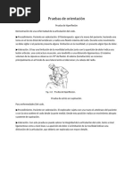 Mano de Predicador | PDF | Mano | Anatomía humana