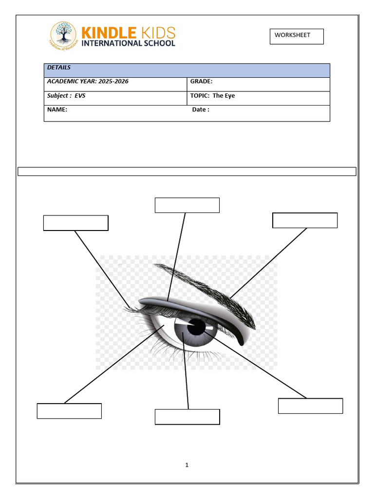 The Eye | PDF