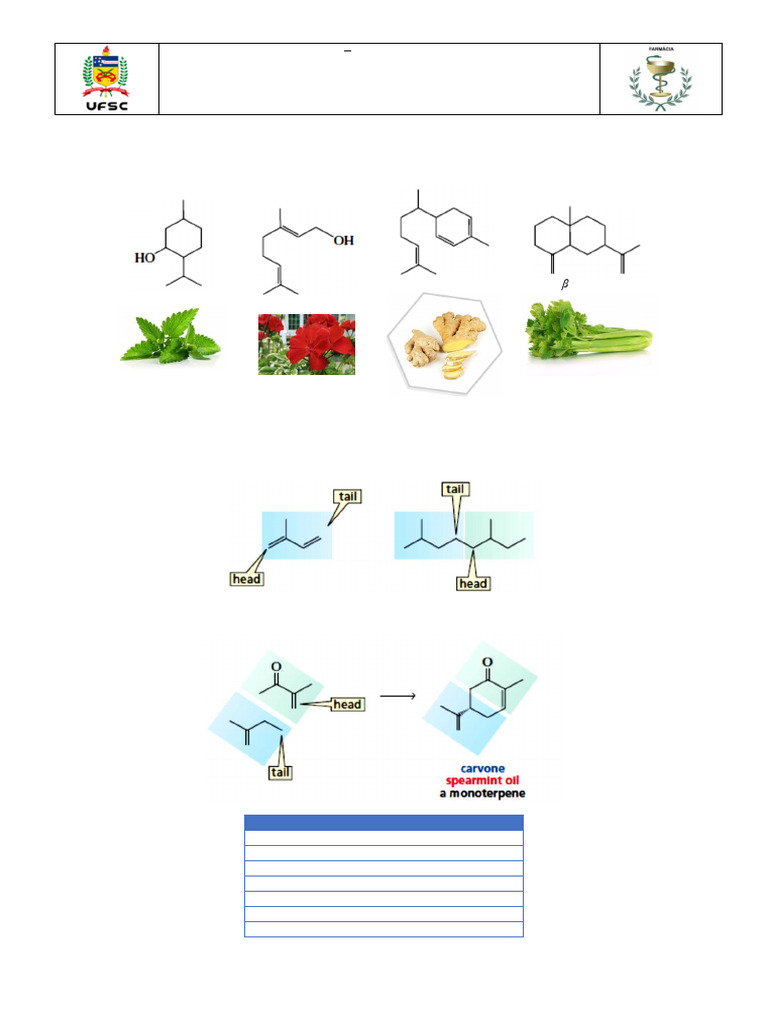 Terpenos: Estrutura e Biossíntese | PDF | Química | Química Orgânica