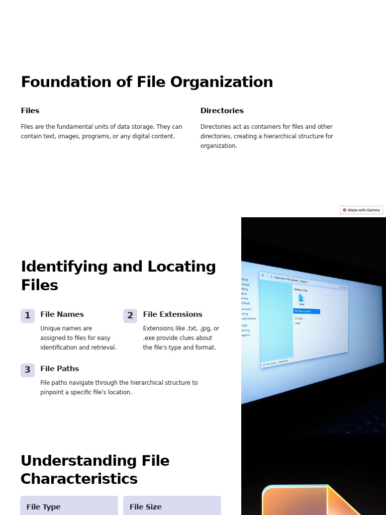 Foundation of File Organization | PDF | Computer File | File System
