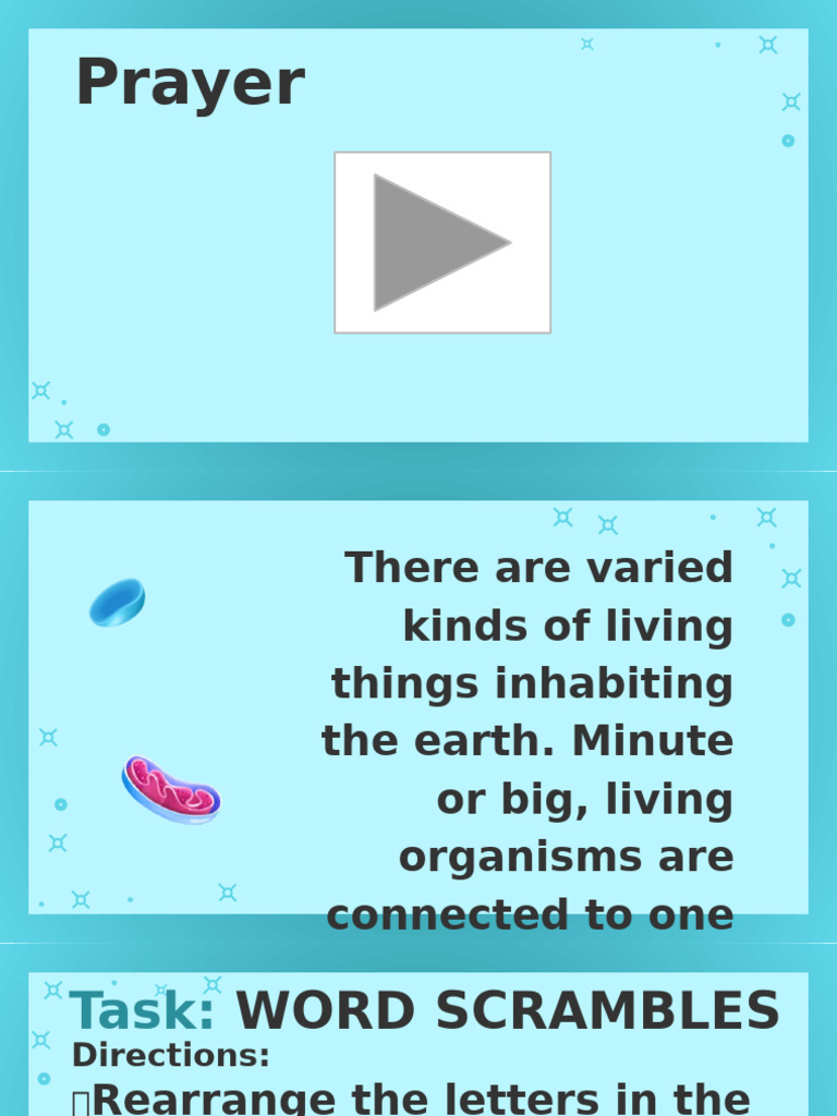 Levels of Biological Organization Science 8 Quarter 4 Review | PDF ...