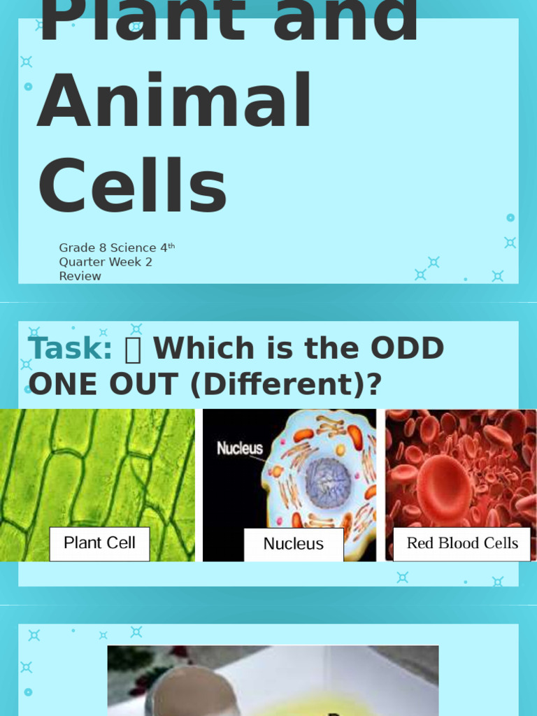 Plant and Animal Cell Science 8 Quarter 4 Review | PDF | Cell (Biology ...