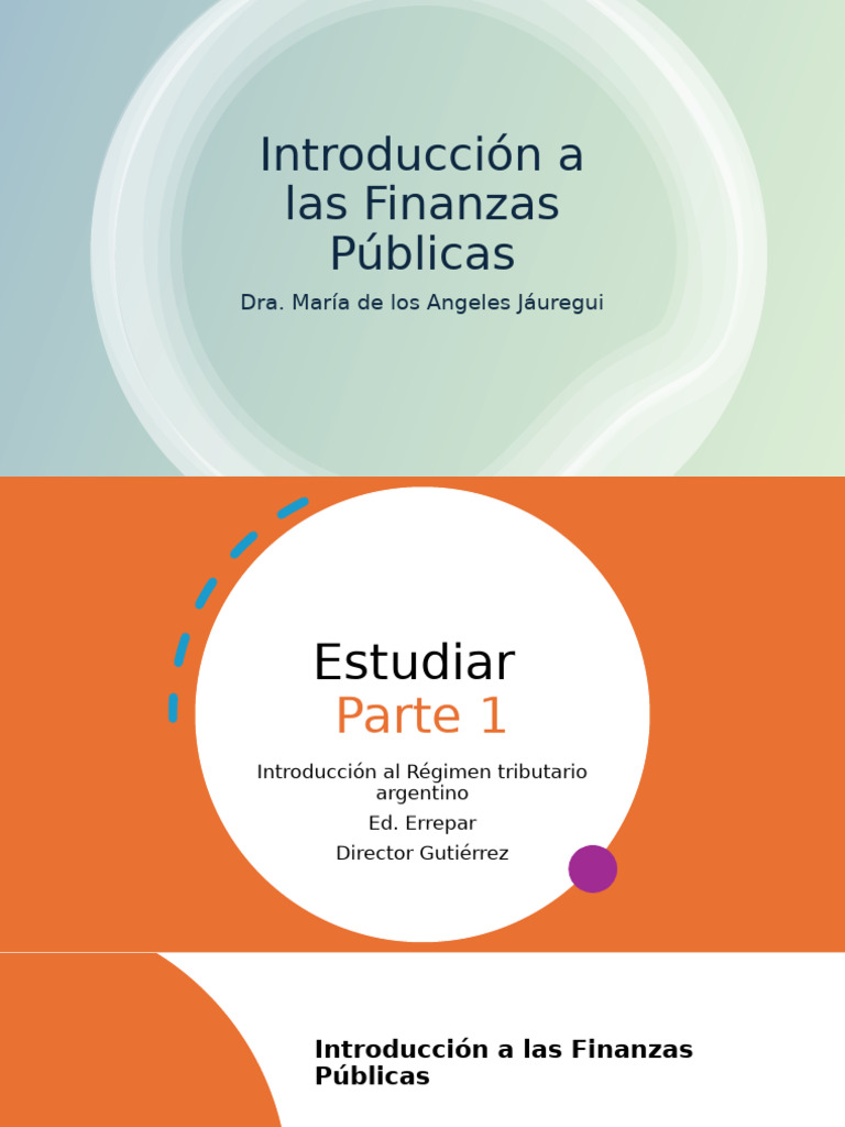Finanzas Publicas | PDF | Presupuesto | Bienes
