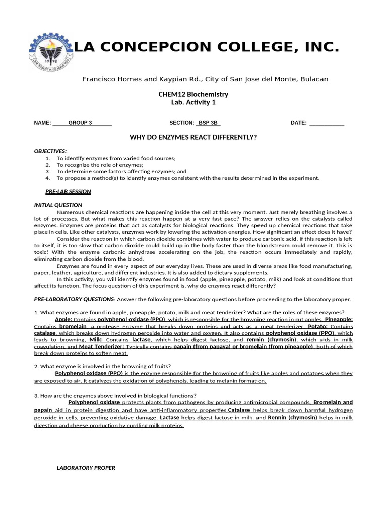 CHEM12 Week 8 Model3 Enzymes Lab Experiment | PDF | Catalase | Hydrogen ...