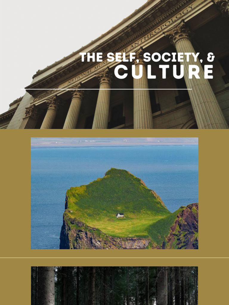 Lesson 2 The Self Society and Culture | PDF | Attitude (Psychology ...