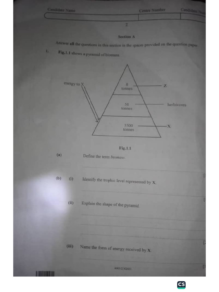 Comb_Scie_Pr_2_Nov_2021 | PDF