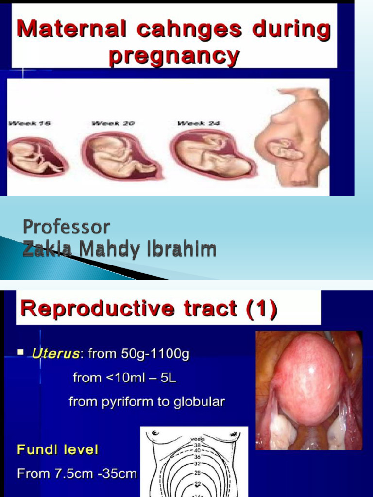 Zakia Maternal Change During Pregnancy Pppppt (1) | PDF