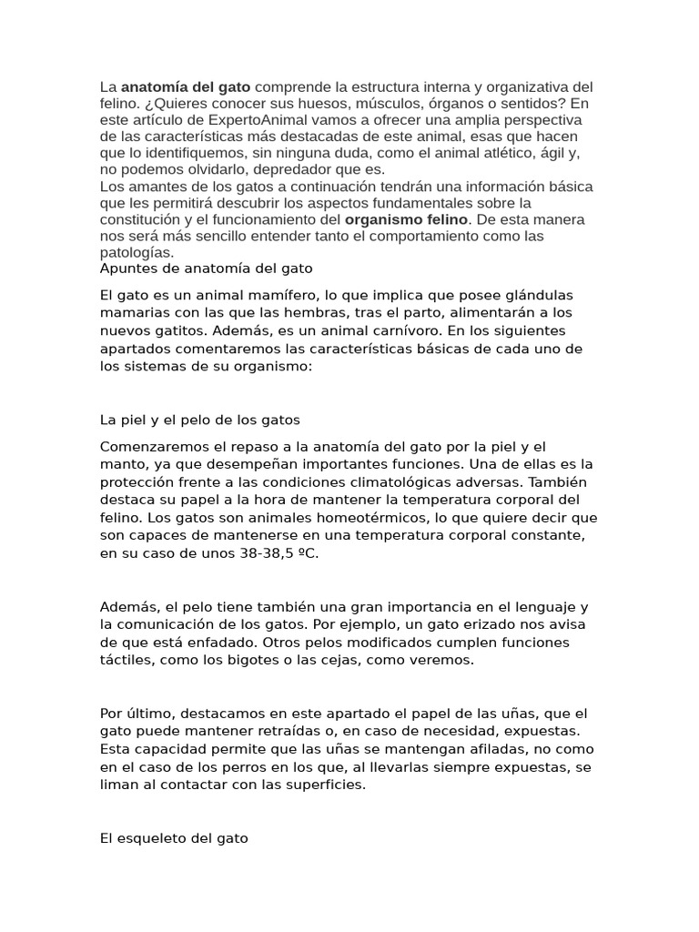Anatomía del Gato: Estructura y Funciones | PDF | Gatos | Esqueleto