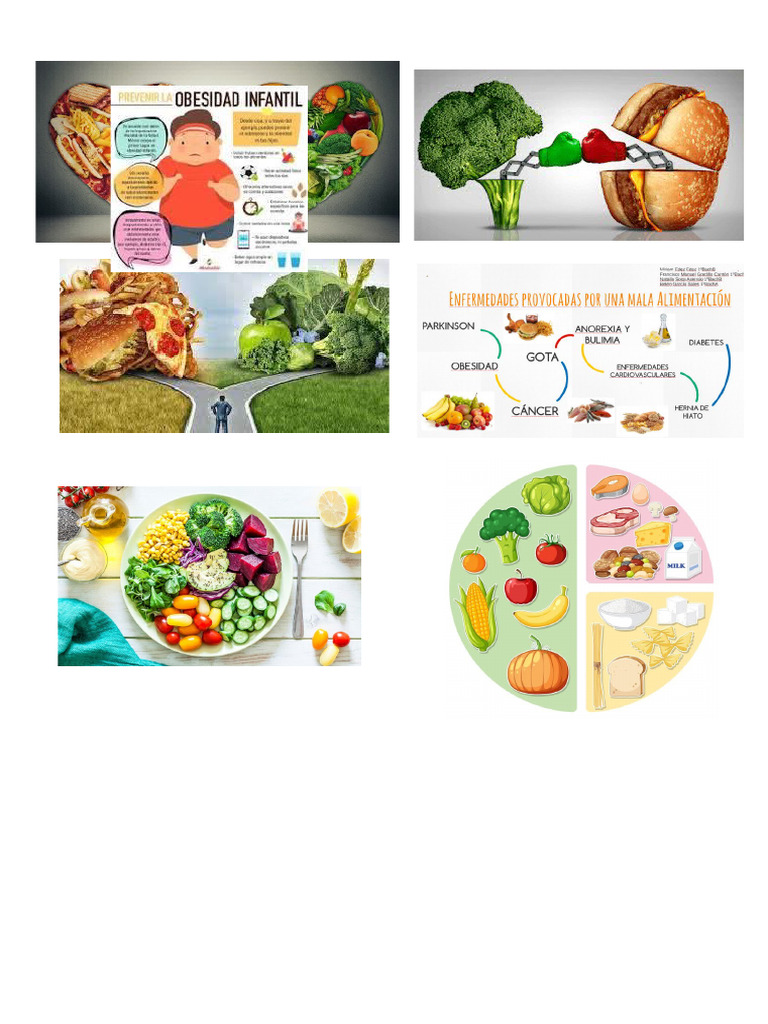 Infografia de E.P.T | PDF