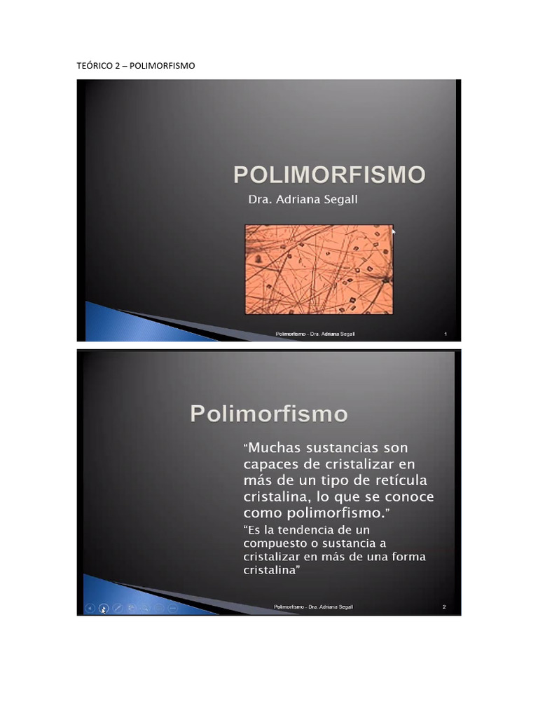 Teórico 2 - Polimorfismo | PDF