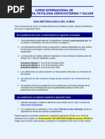 Instructivo Curso 20h SG SST Positiva Educa 1 | PDF