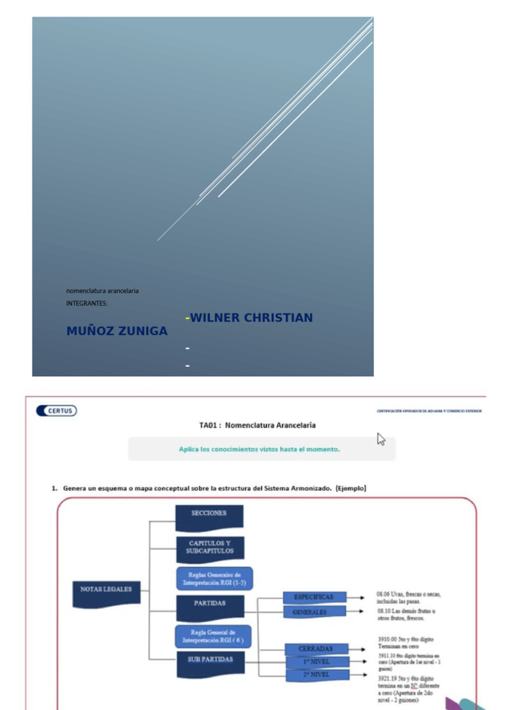 ESQUEMA TAREA PRIMERA PARTE | PDF | aduana | Arancel