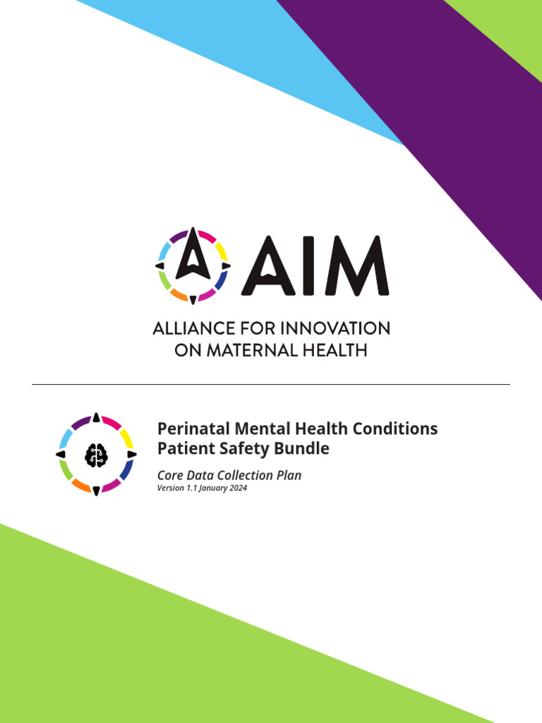 Perinatal Mental Health Conditions Patient Safety Bundle 2 4 1 | PDF ...
