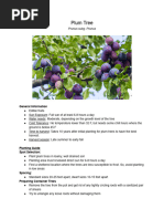 NJUG Publication Volume 1 | PDF | Root | Trees