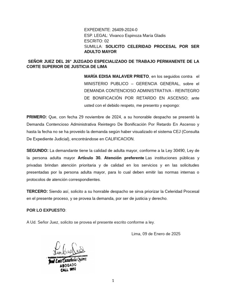 CELERIDAD PROCESAL | PDF