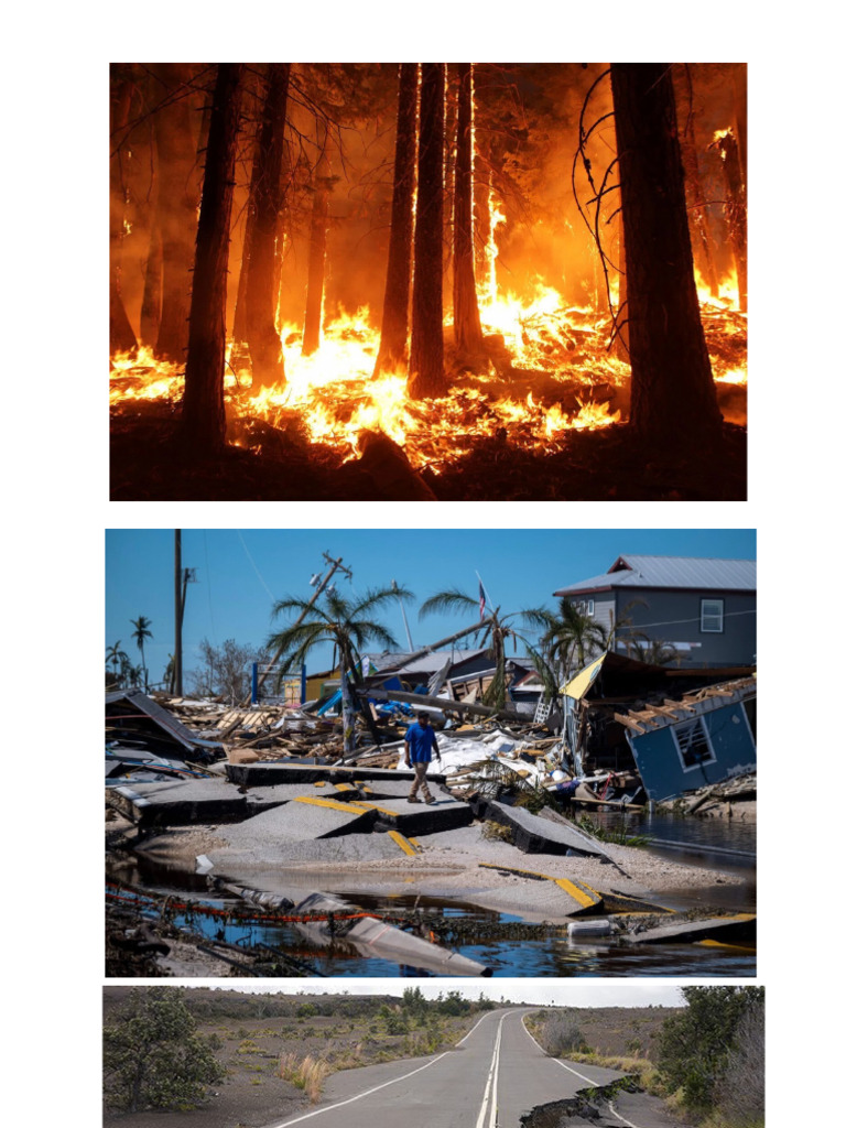 Natural Disasters | PDF