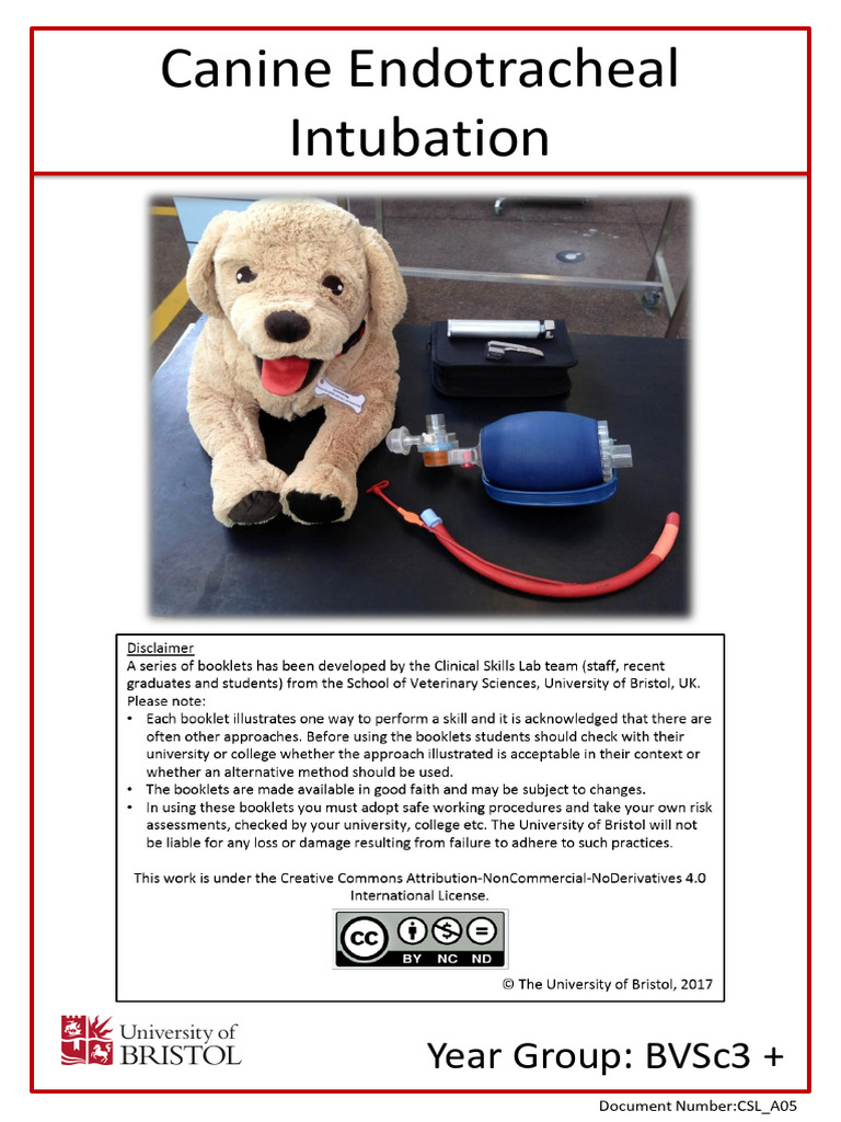 Canine Endotracheal Intubation Guide | PDF | Medical Specialties ...