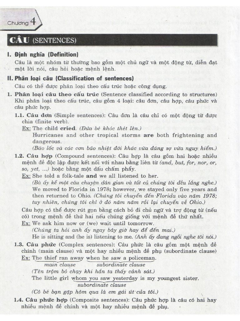 21 Sentences | PDF