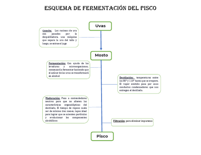 Pisco | PDF