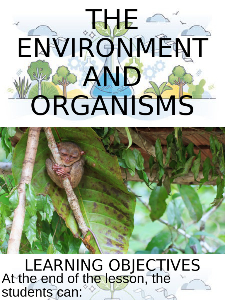Environmental Science 2 | PDF | Ecology | Ecosystem