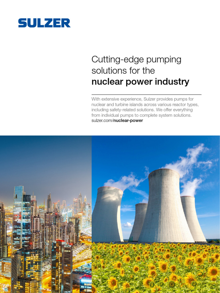 Advanced Nuclear Pumping Solutions | PDF | Pressurized Water Reactor ...