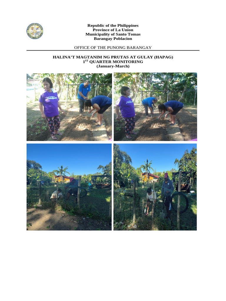 hapag activity report | PDF