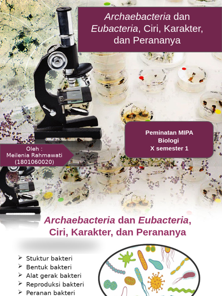 Archaebacteria Dan Eubacteria | PDF