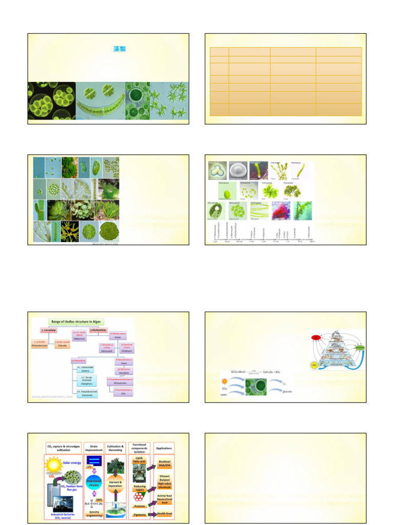 Algae 2022 PPT handout | PDF | Algae | Biology
