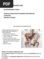 Anatomy and Physiology of the Umbilicus | PDF | Abdomen | Vein