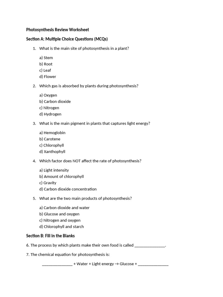 Photosynthesis Review Worksheet | PDF | Photosynthesis | Leaf