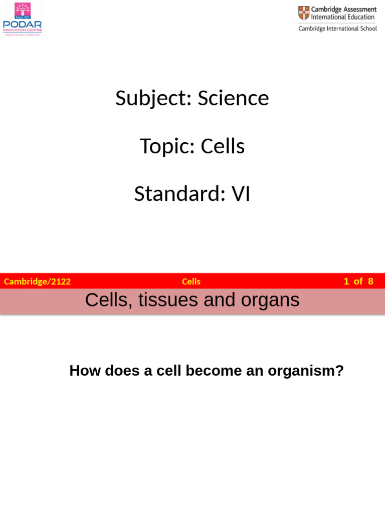 Understanding Cells and Organ Systems | PDF | Tissue (Biology) | Leaf