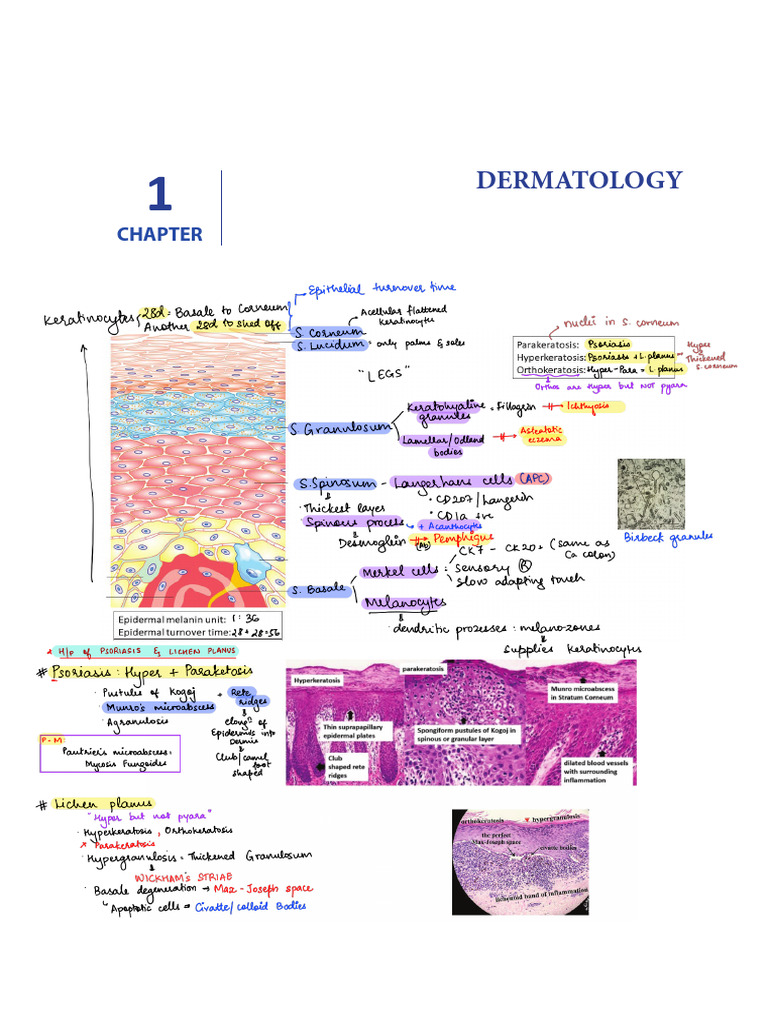 Open Merge PDF Derma | PDF | Dermatitis | Skin