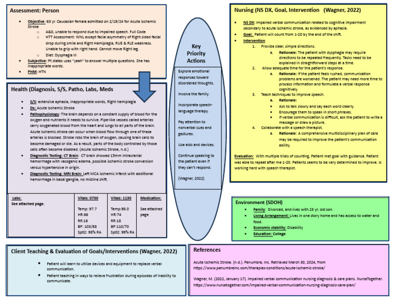 Care Plan | PDF | Stroke | Ischemia