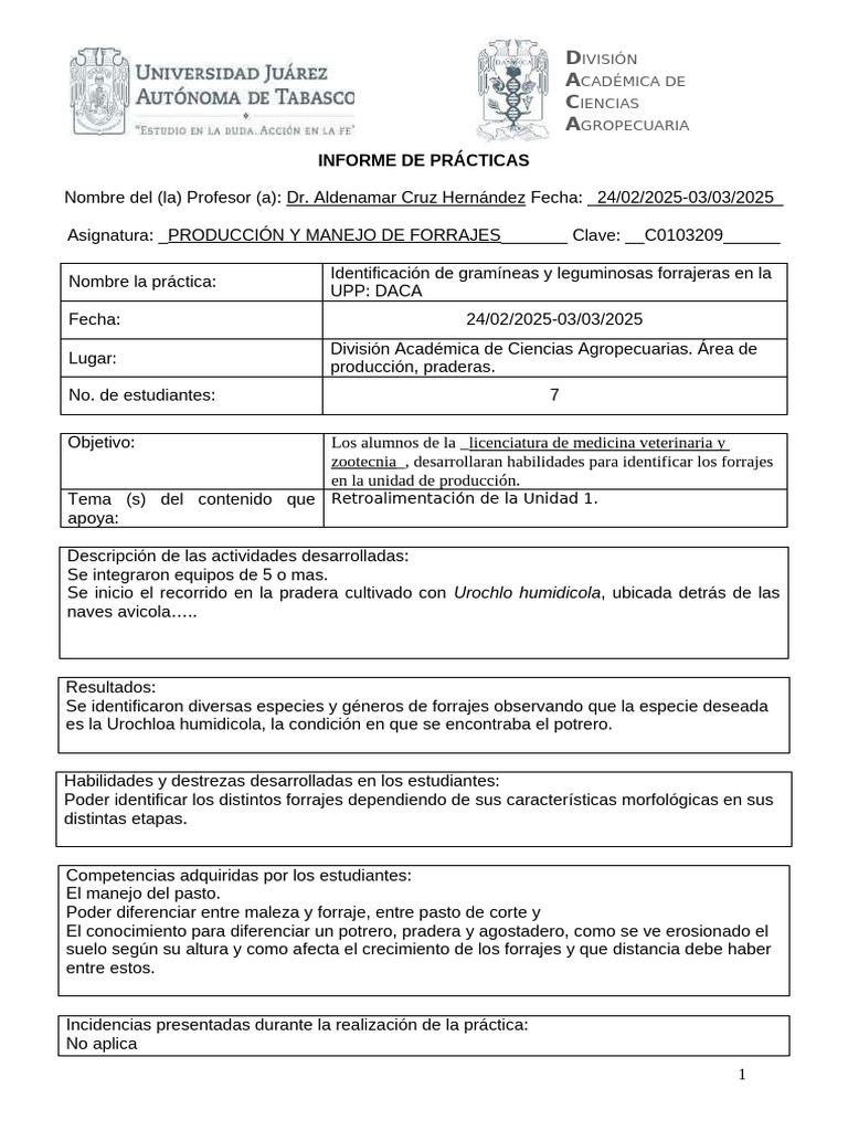 Informe - Prácticas Borrador-2 | PDF | Pasto | Agricultura