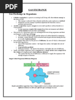 Gaseous Exchange Grade11 Notes | PDF