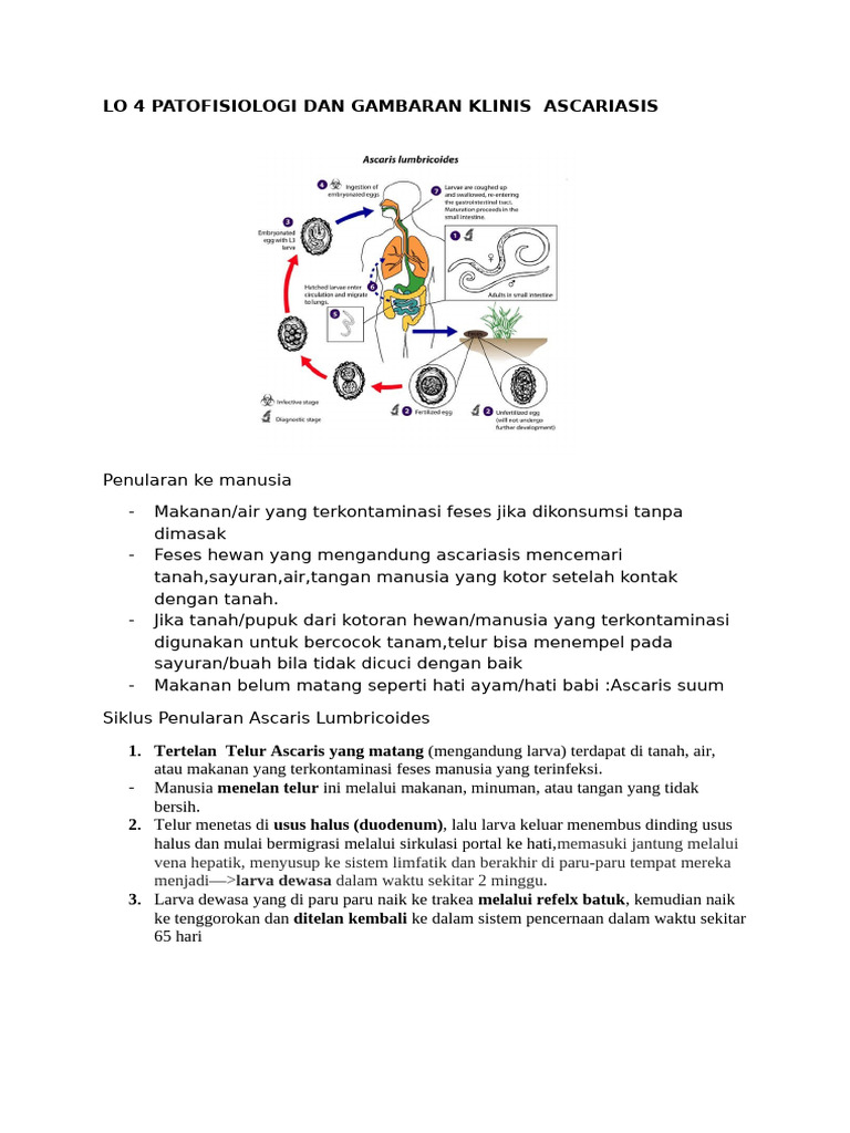 Lo 4 .Patofisiologi Ascariasis Dan Gejala Klinis 2 | PDF