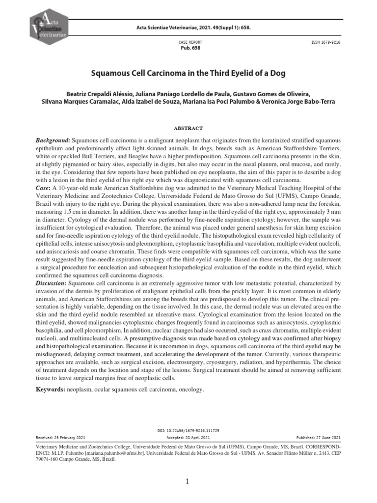 Squamous Cell Carcinoma in Dog Eyelid | PDF | Carcinoma | Neoplasms