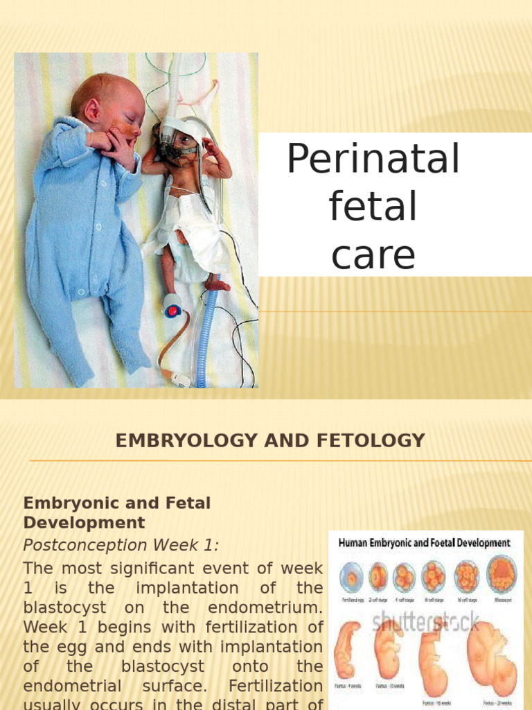 Perinatal Fetal Care | PDF | Maternal Health | Anatomy