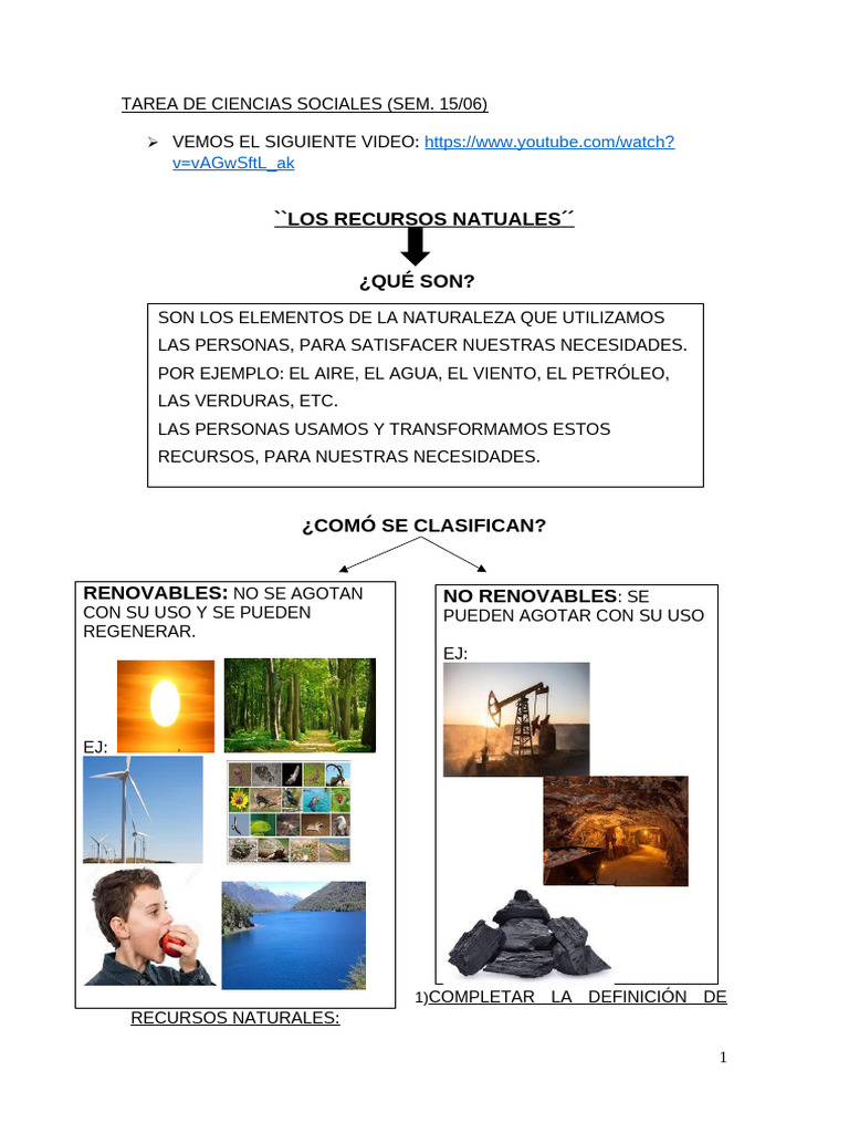 Recursos Naturales: Definición y Tipos | PDF