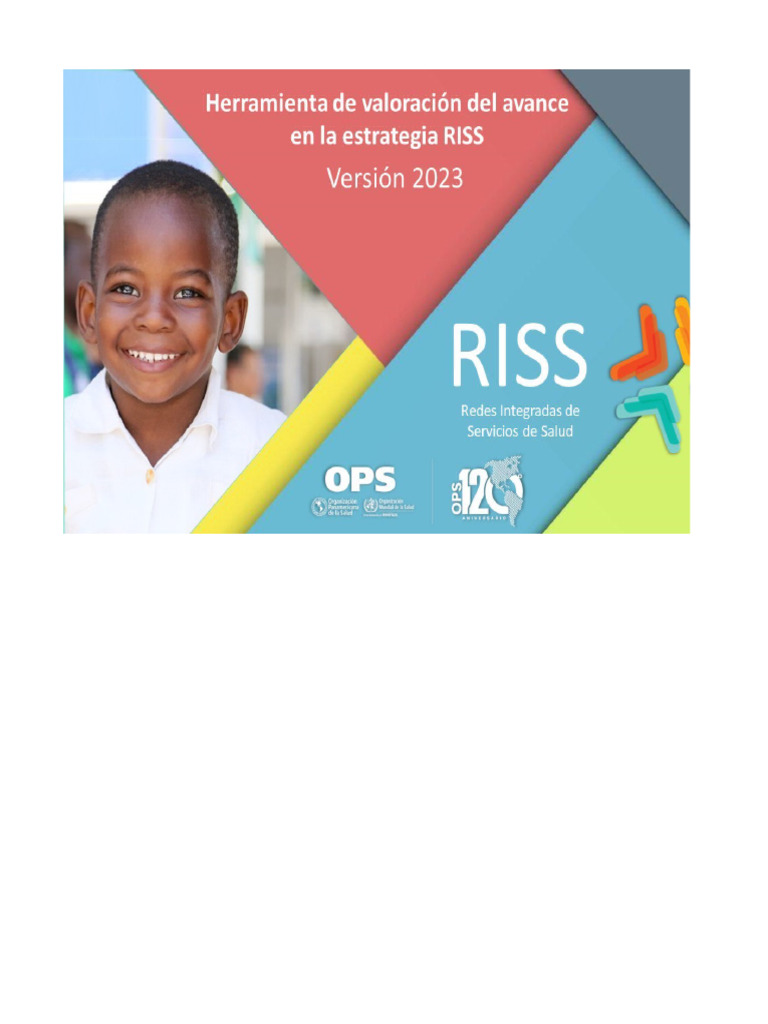 RISS Matriz 2 Copaaaa | PDF | Hospital | Cuidado de la salud