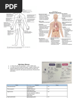 Antibiotic Chart Infectious Disease Bug Drug Table PDF | PDF ...