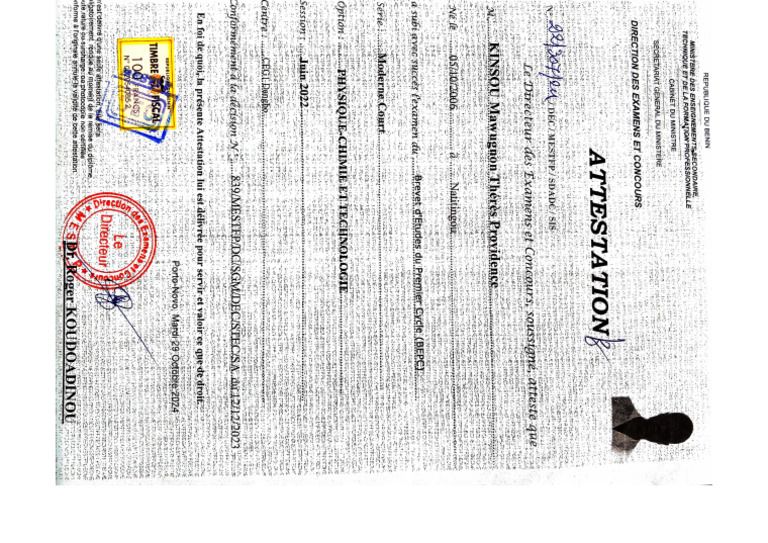 ACE Scanner - 2025 - 02 - 08 | PDF