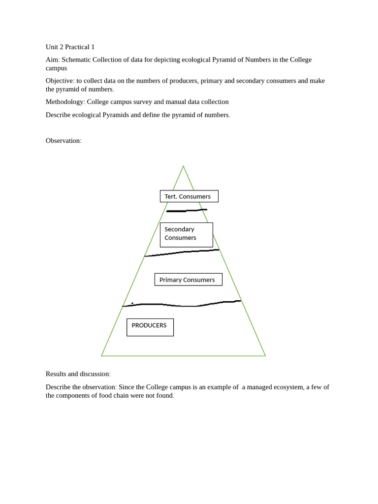 Unit 2 Practicals | PDF