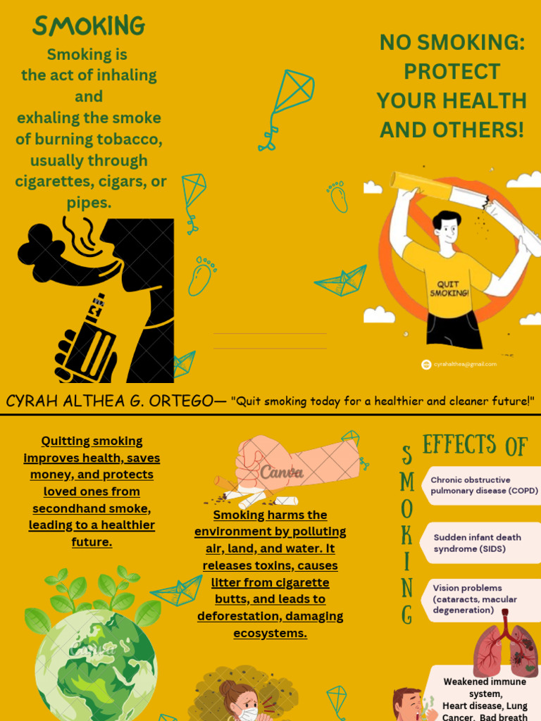 English Brochure Performance Task | PDF