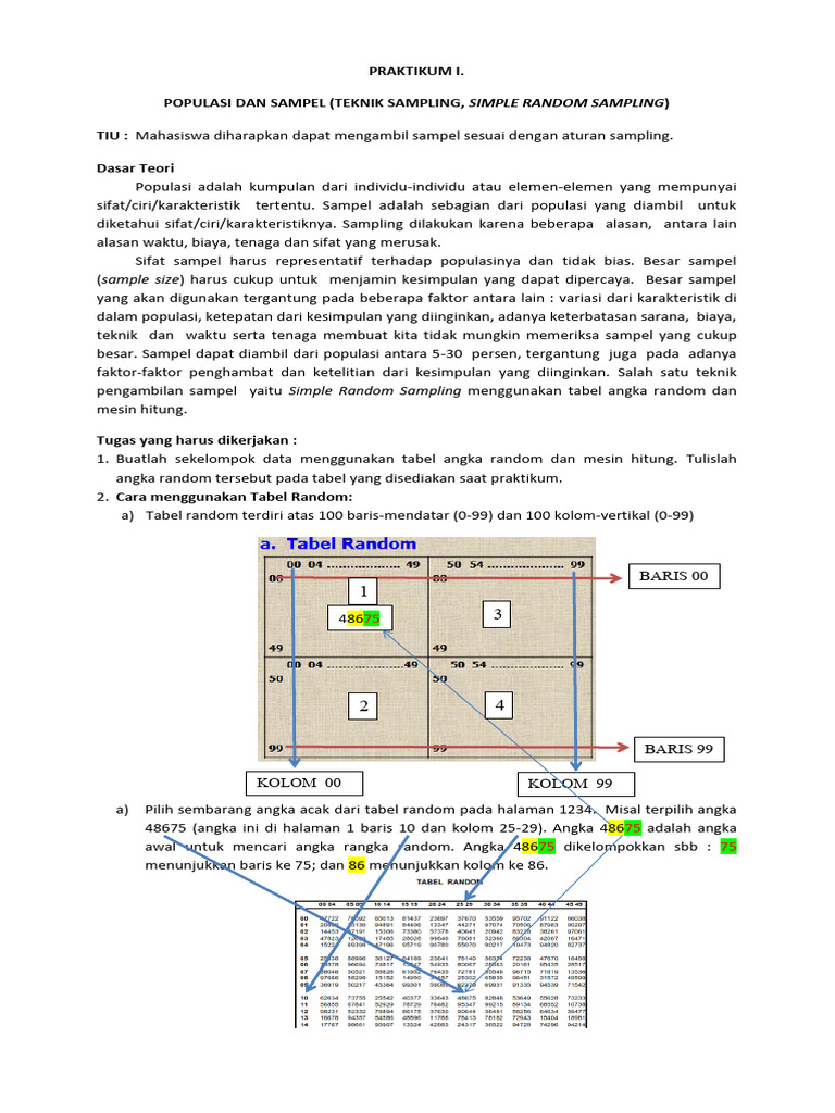 Praktikum 1 POPULASI DAN SAMPEL (TEKNIK SAMPING , SIMPLE RANDOM SAMPLING) | PDF