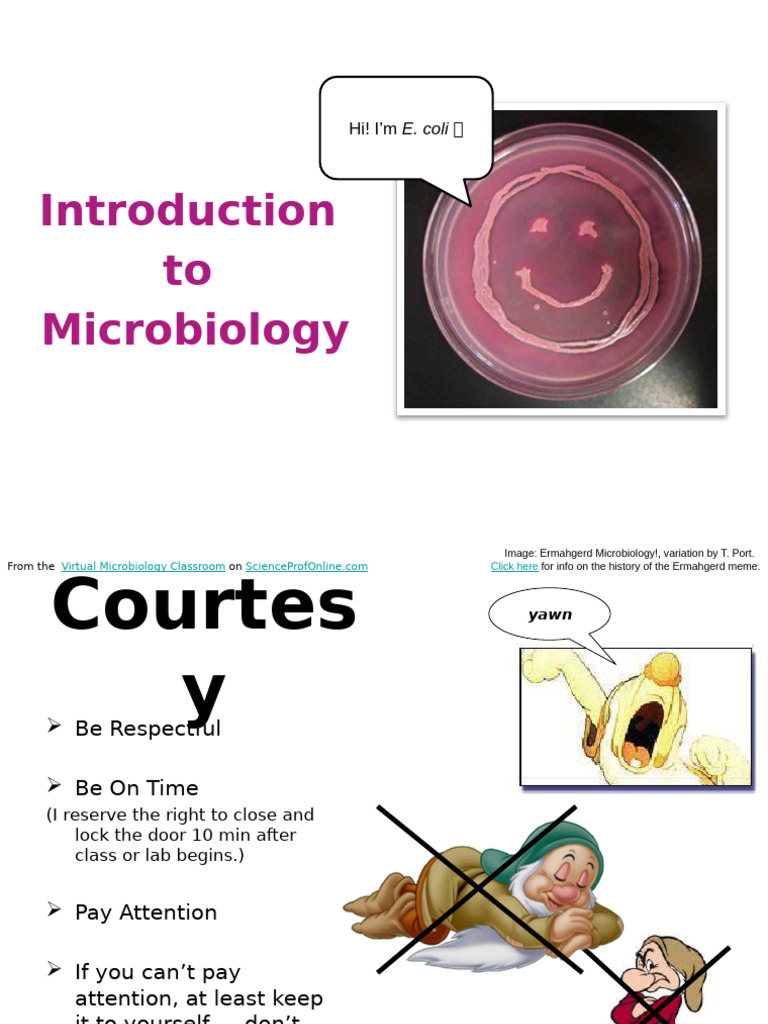 Introduction to Microbiology Basics | PDF | Infection | Hiv/Aids